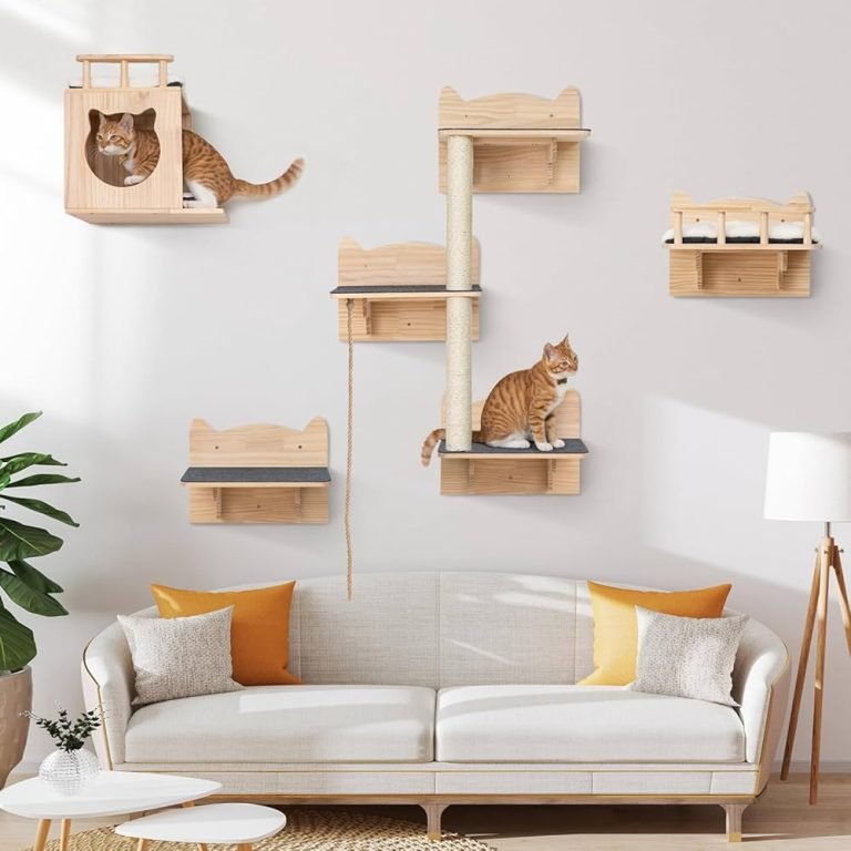 The Best Cat Play Areas for Indoor Cats - Catophile